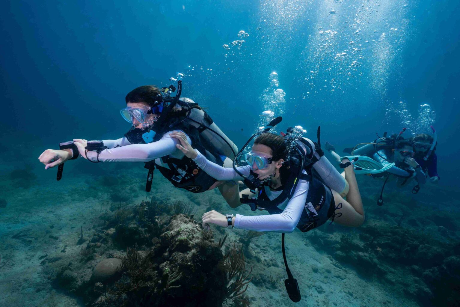 What is Scuba Diving? A Comprehensive Beginner's Guide - Sail Caribbean