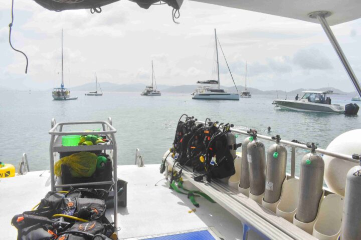 Scuba Acronyms: Essential Terms Every Diver Should Know - Sail Caribbean