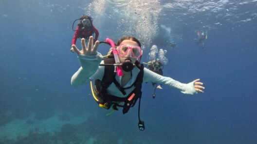 Scuba Acronyms: Essential Terms Every Diver Should Know - Sail Caribbean