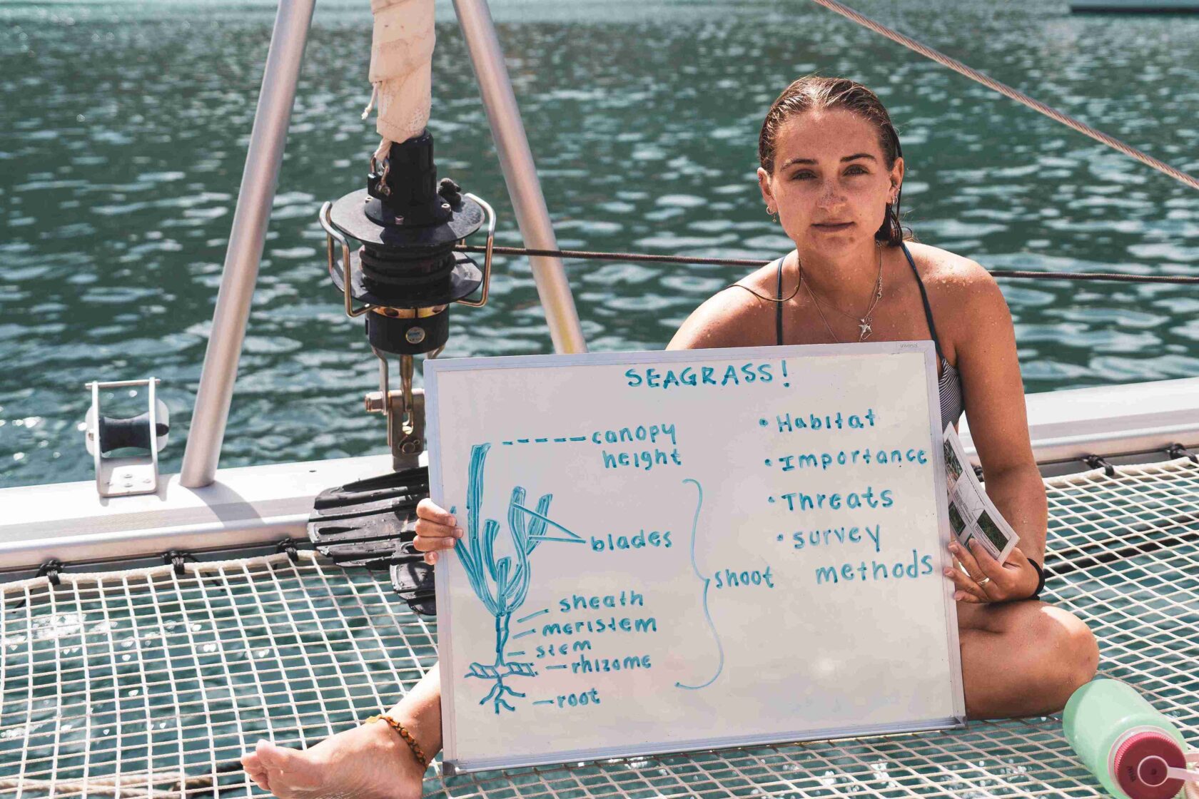 What is Marine Biology? - Sail Caribbean A Beginner’s Guide to Studying ...