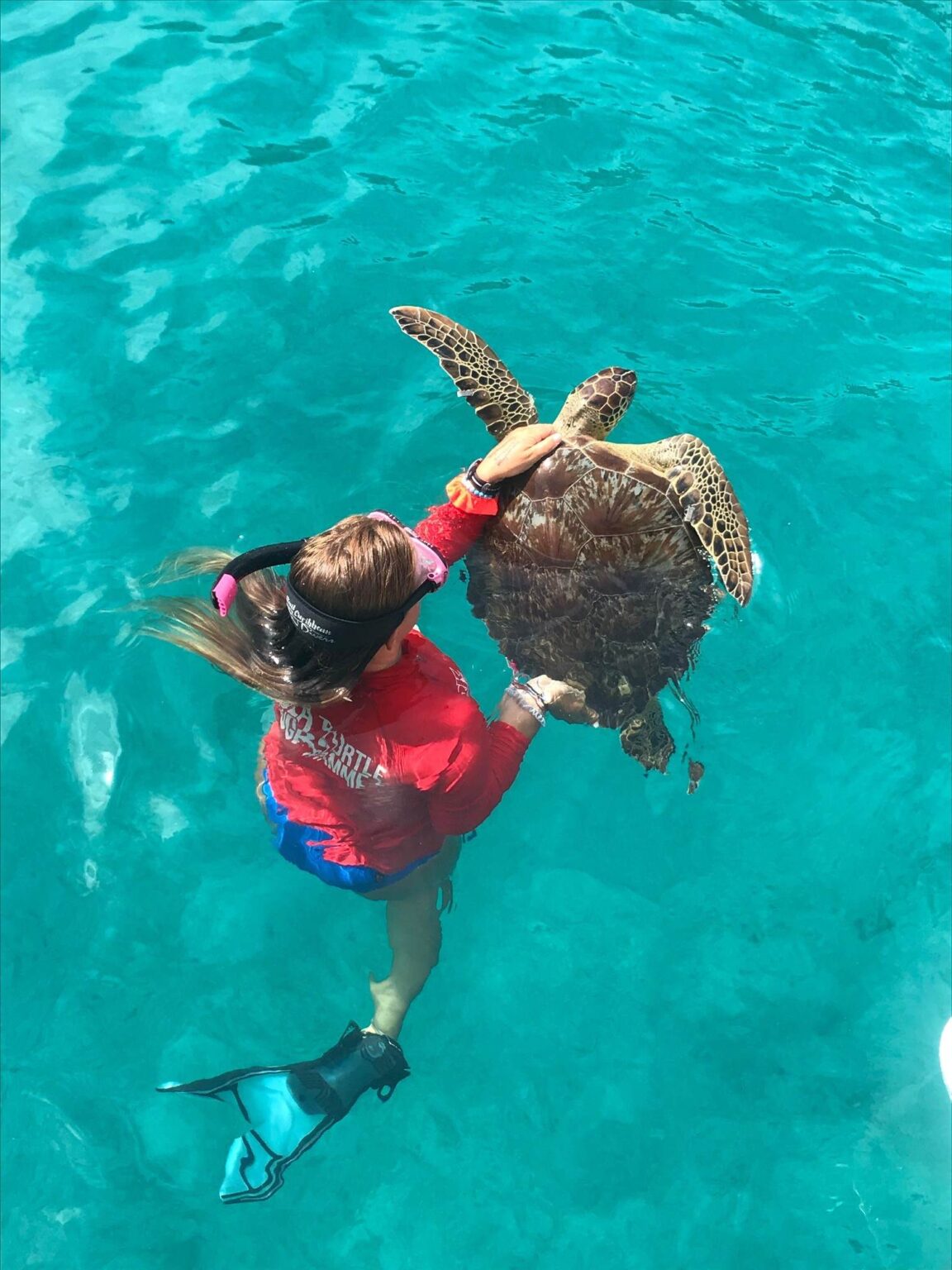 What is Marine Biology? - Sail Caribbean A Beginner’s Guide to Studying ...