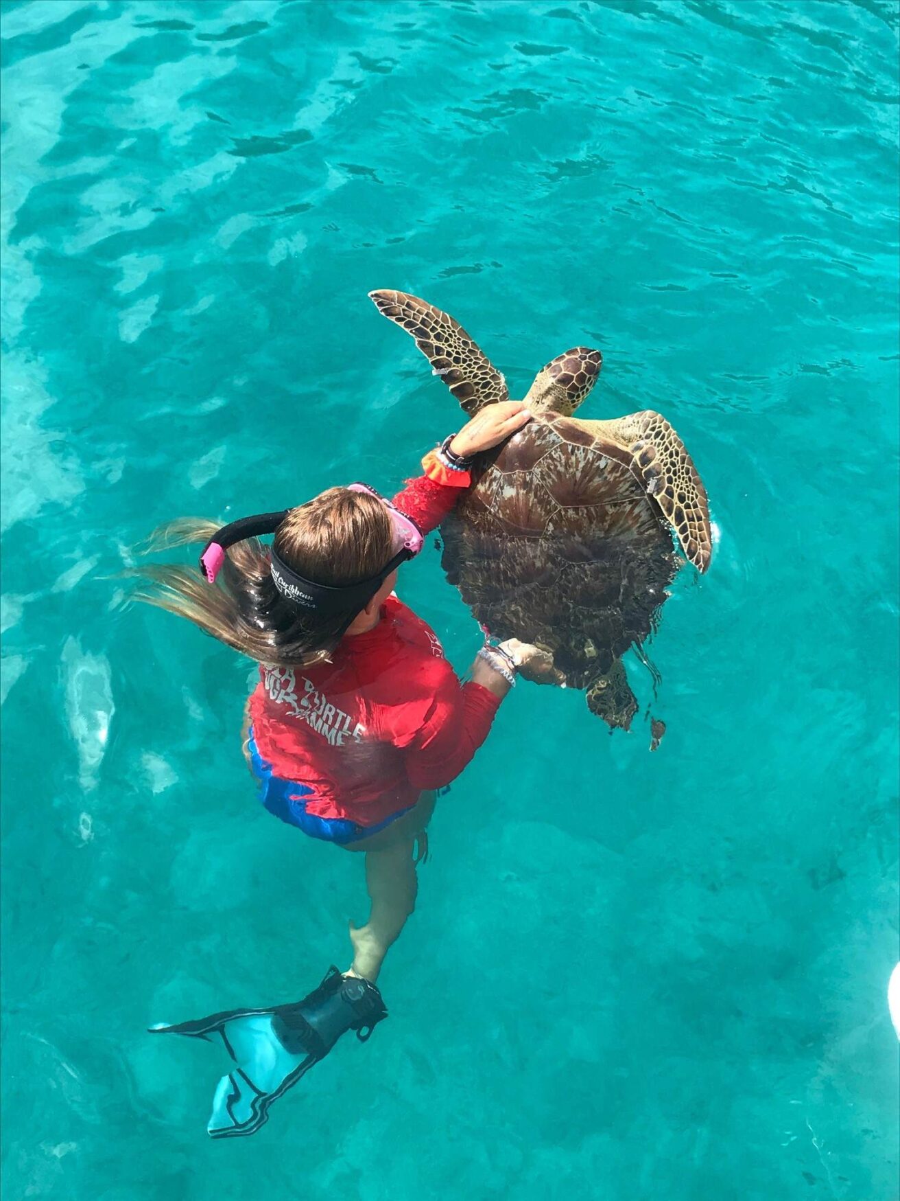 What is Marine Biology? - Sail Caribbean A Beginner’s Guide to Studying ...